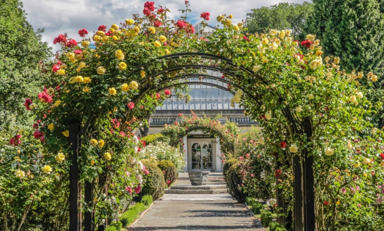 All You Need To Know About Biological Garden – My Decor For All